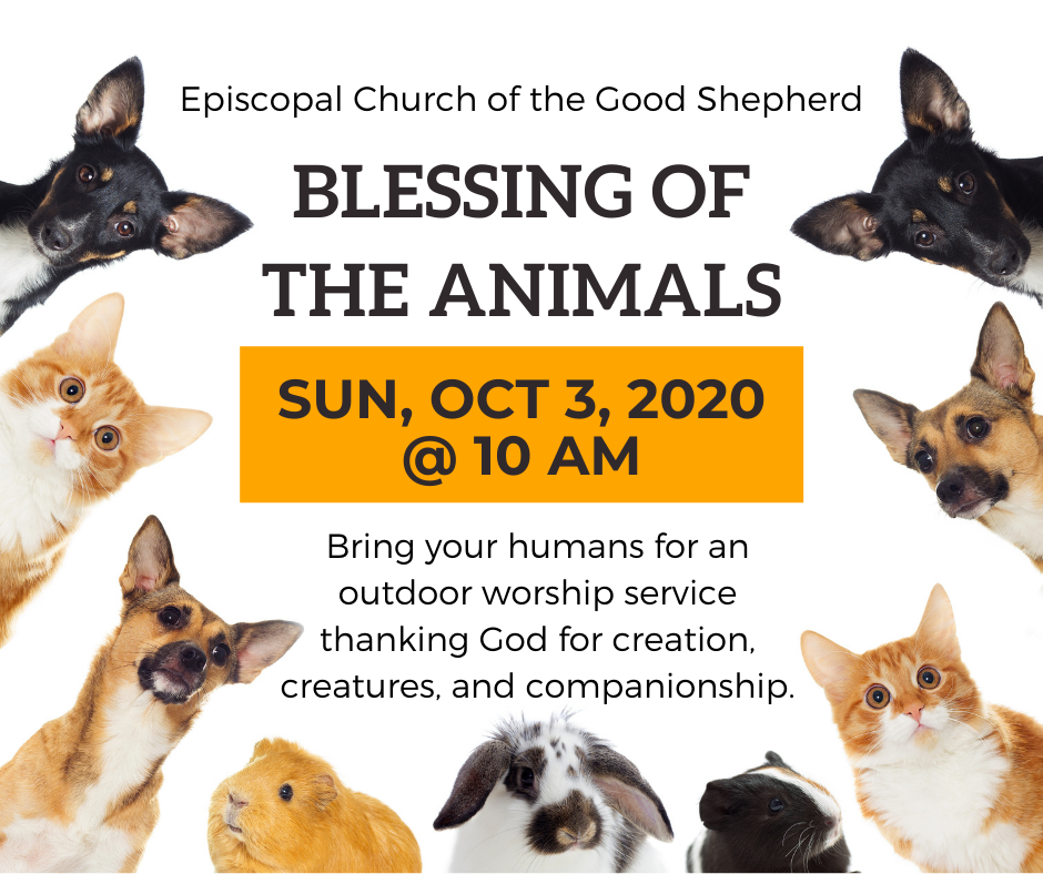 Blessing of the Animals - Episcopal Church of the Good Shepherd ...