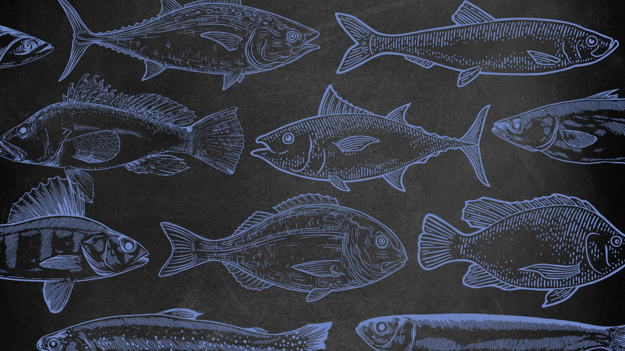Fish Fry Dinner - Episcopal Church of the Good Shepherd Episcopal ...